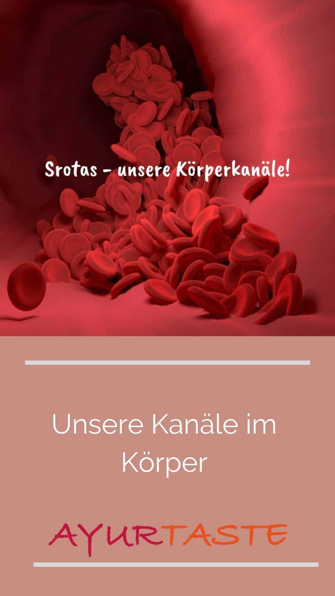 Ayur-Taste - Die Srotas - unsere Körperkanäle im Ayurveda